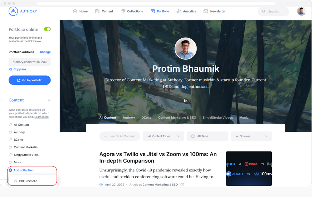 How to Create a PDF Portfolio & 5 Excellent PDF Portfolio Examples