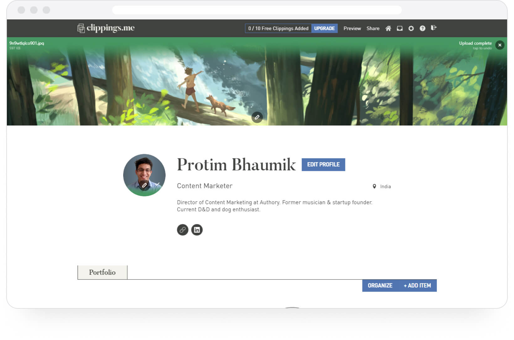 Clippings Portfolio — Pros, Cons & Alternative